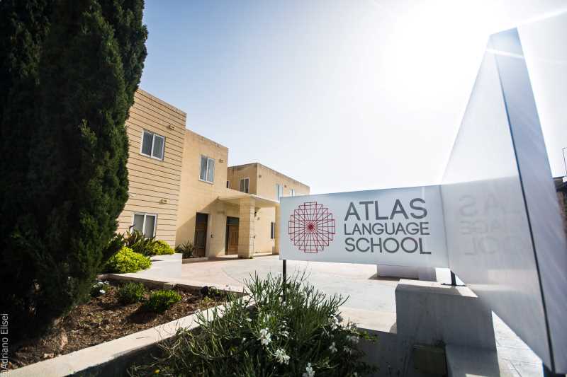 Language School Malta language-school-malta